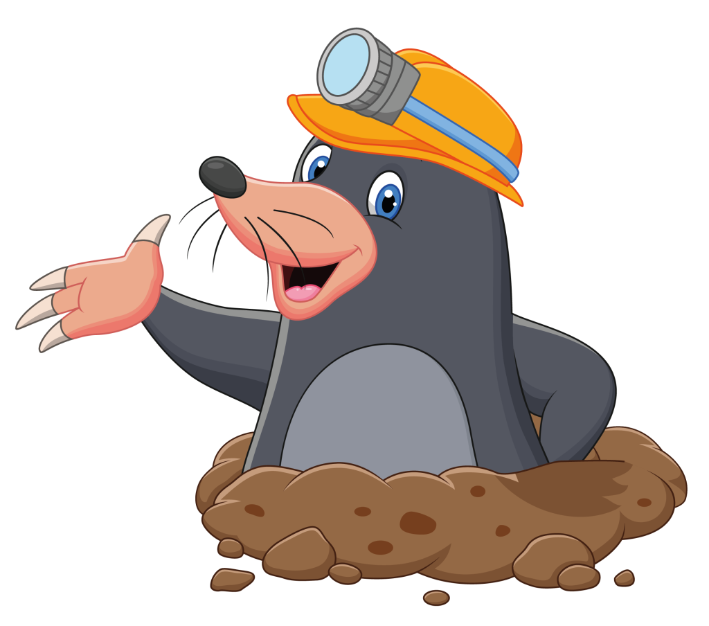 Moling Experts Southampton | Water Main Moling Hampshire